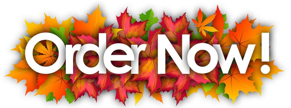 Arthrovit Australia Arthritis Pain Relief Cream: New Zealand, Official